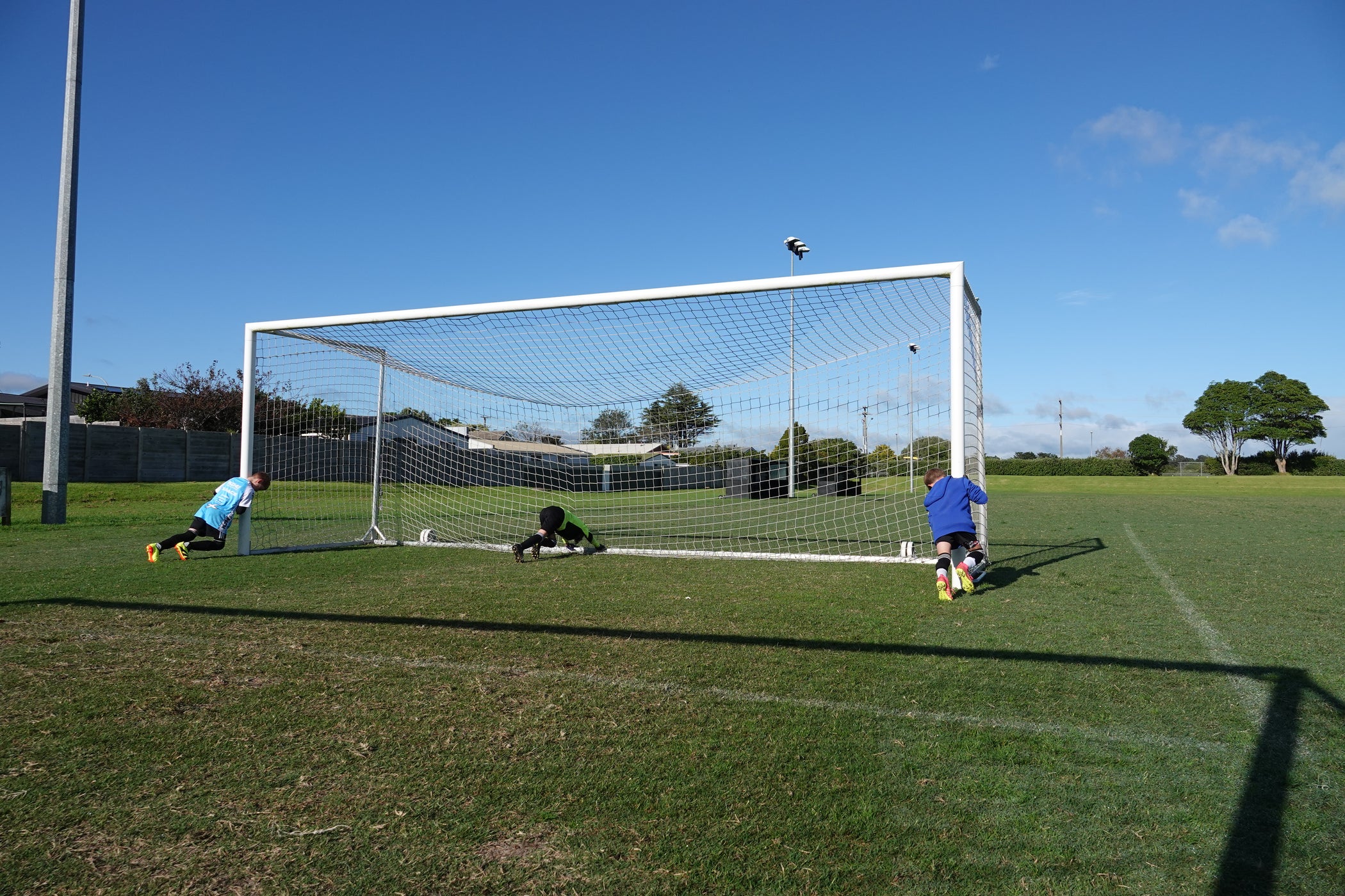 Goalkeeper Training and Coach Education with INGOAL
